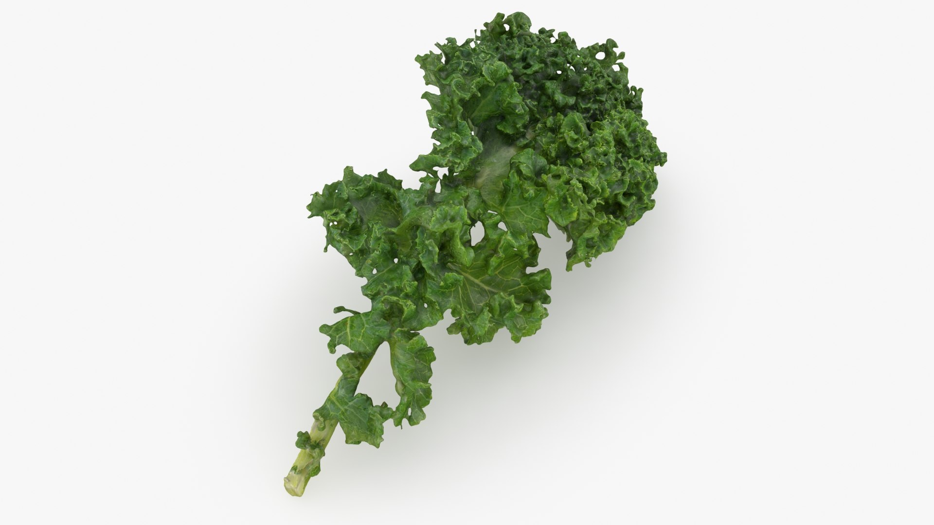 Kale 3D Model - TurboSquid 2189454