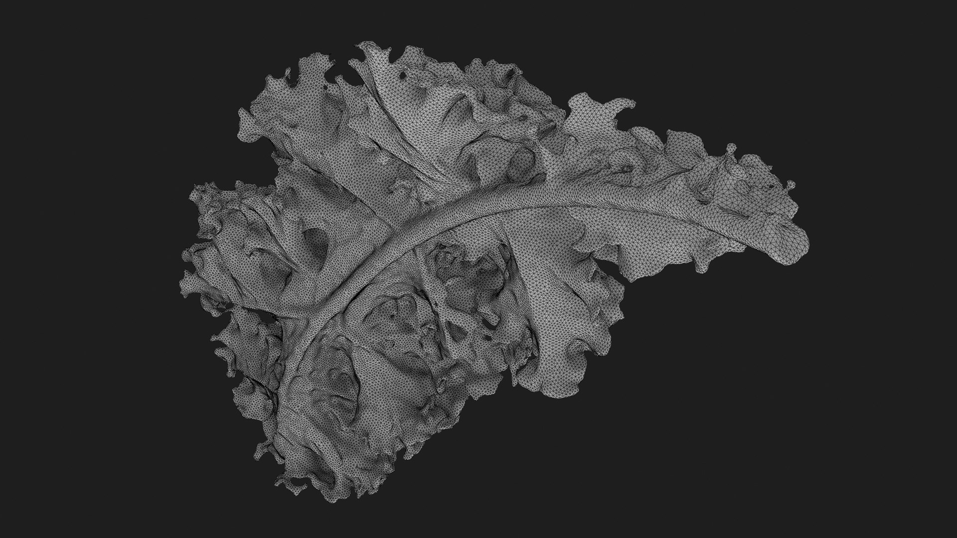 Kale 3D Model - TurboSquid 2189454