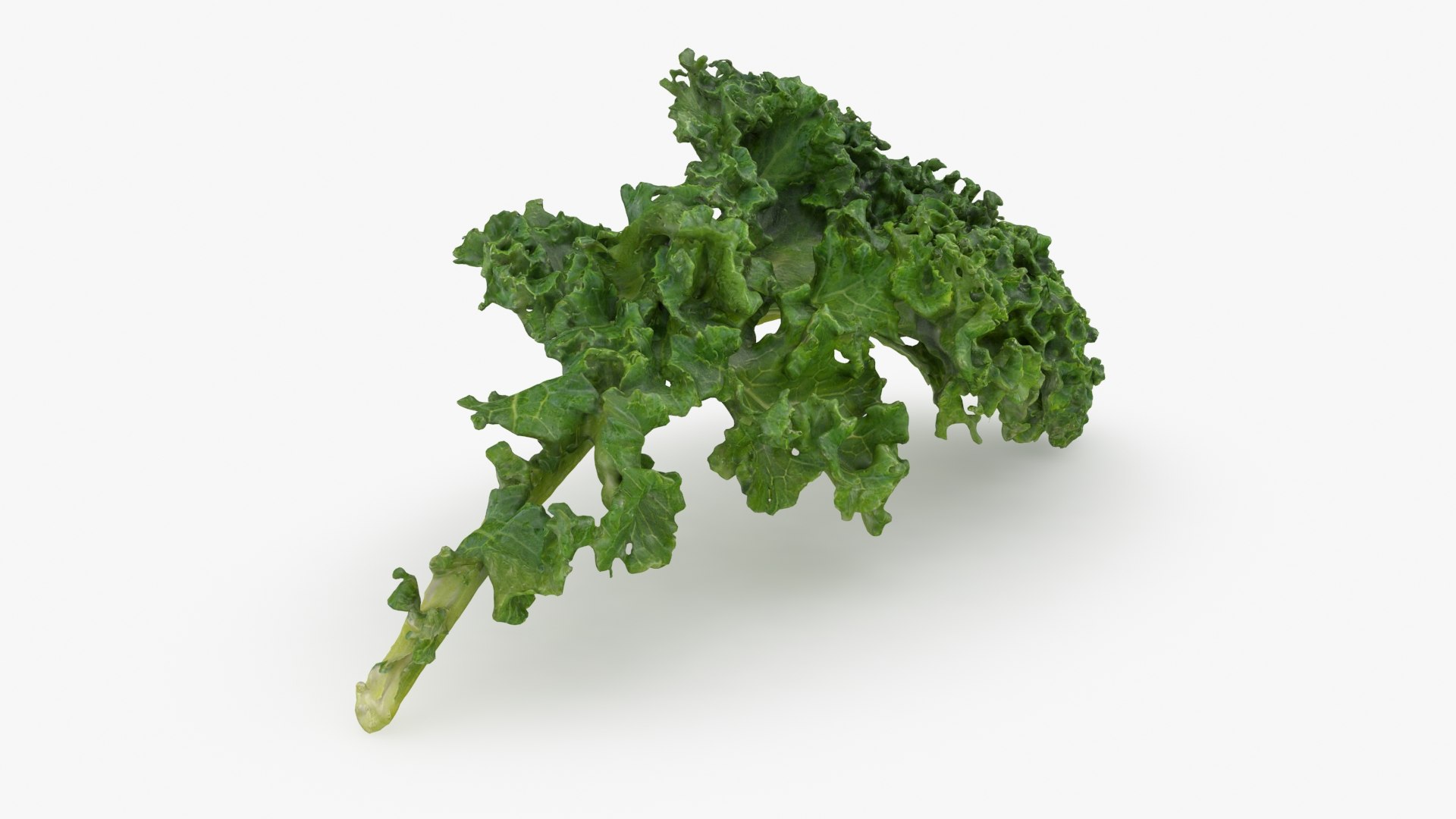 Kale 3D Model - TurboSquid 2189454