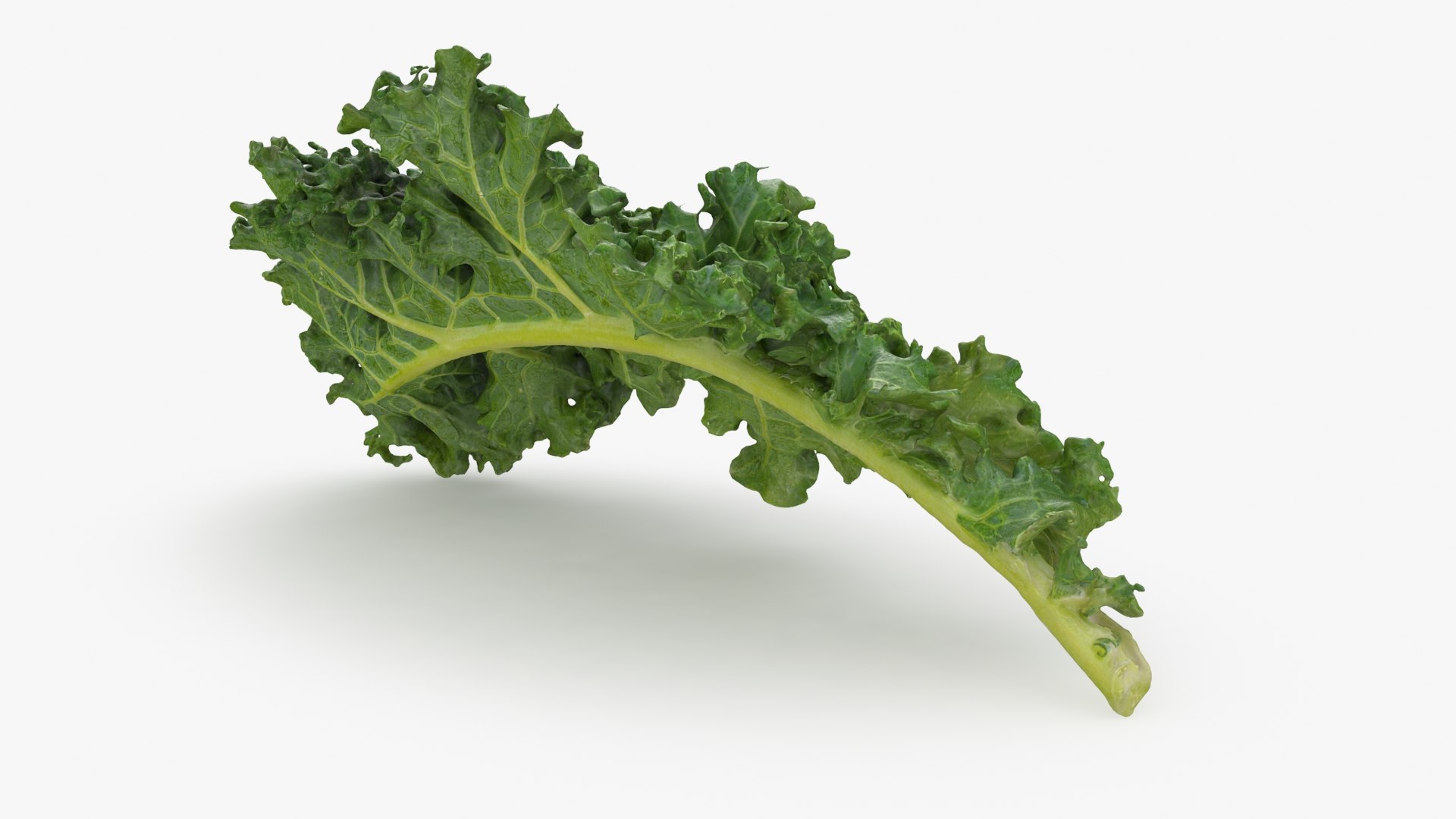 Kale 3D Model - TurboSquid 2189454