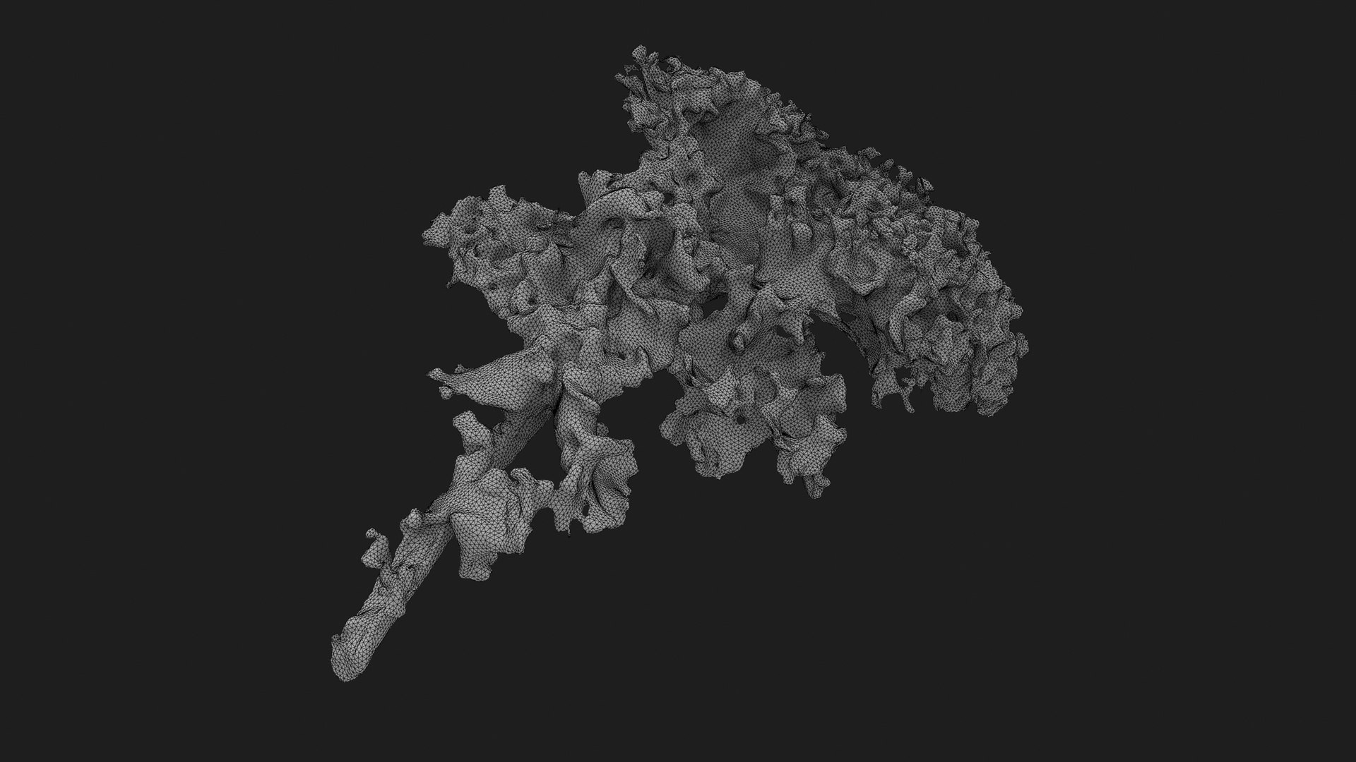 Kale 3D Model - TurboSquid 2189454