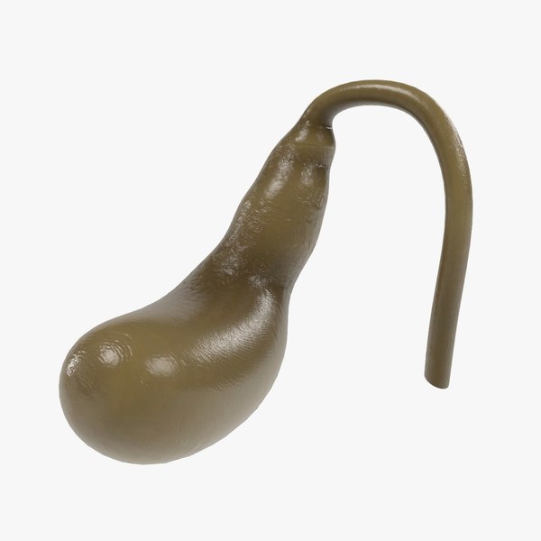Gallbladder 3D Models for Download | TurboSquid