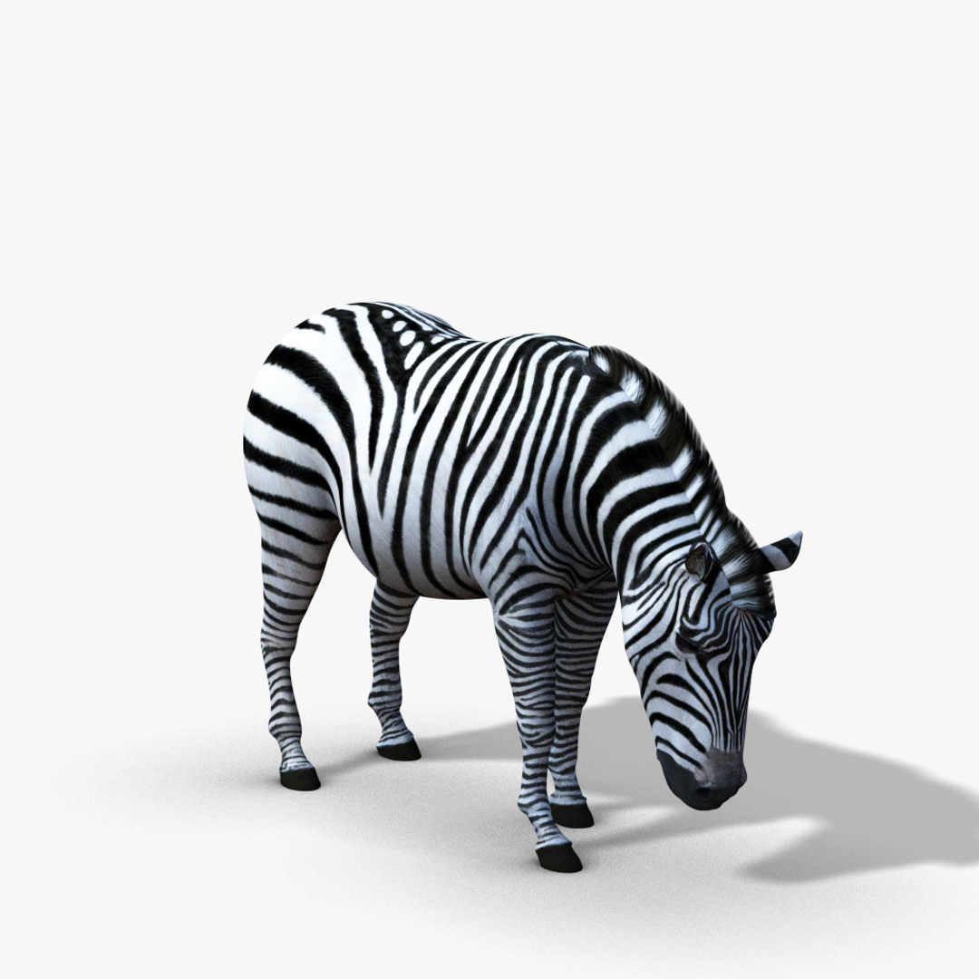 Zebra Rigged Unity3d 3D Model - TurboSquid 1176328