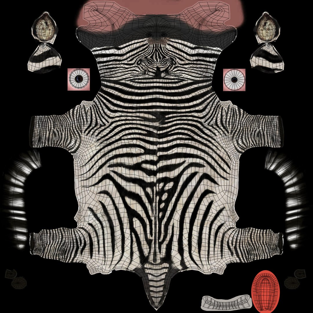 Zebra Rigged Unity3d 3D Model - TurboSquid 1176328