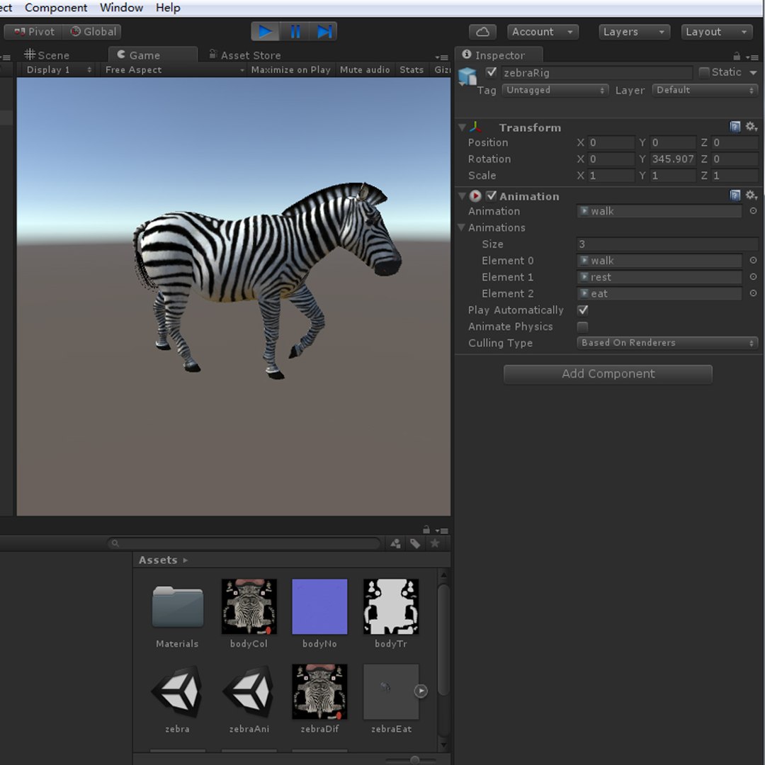 Zebra Rigged Unity3d 3D Model - TurboSquid 1176328