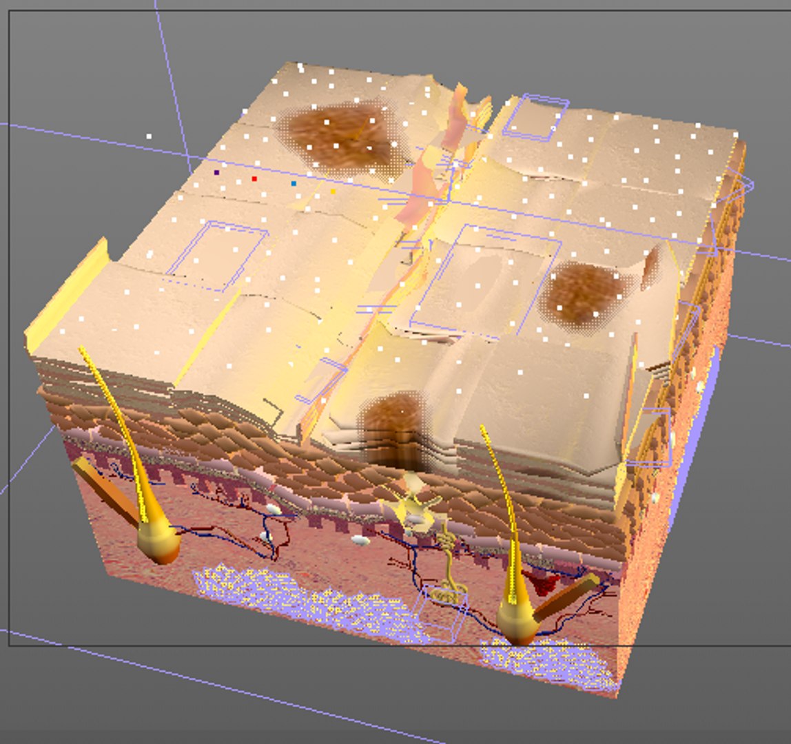 3d Model Melanin Control Skin