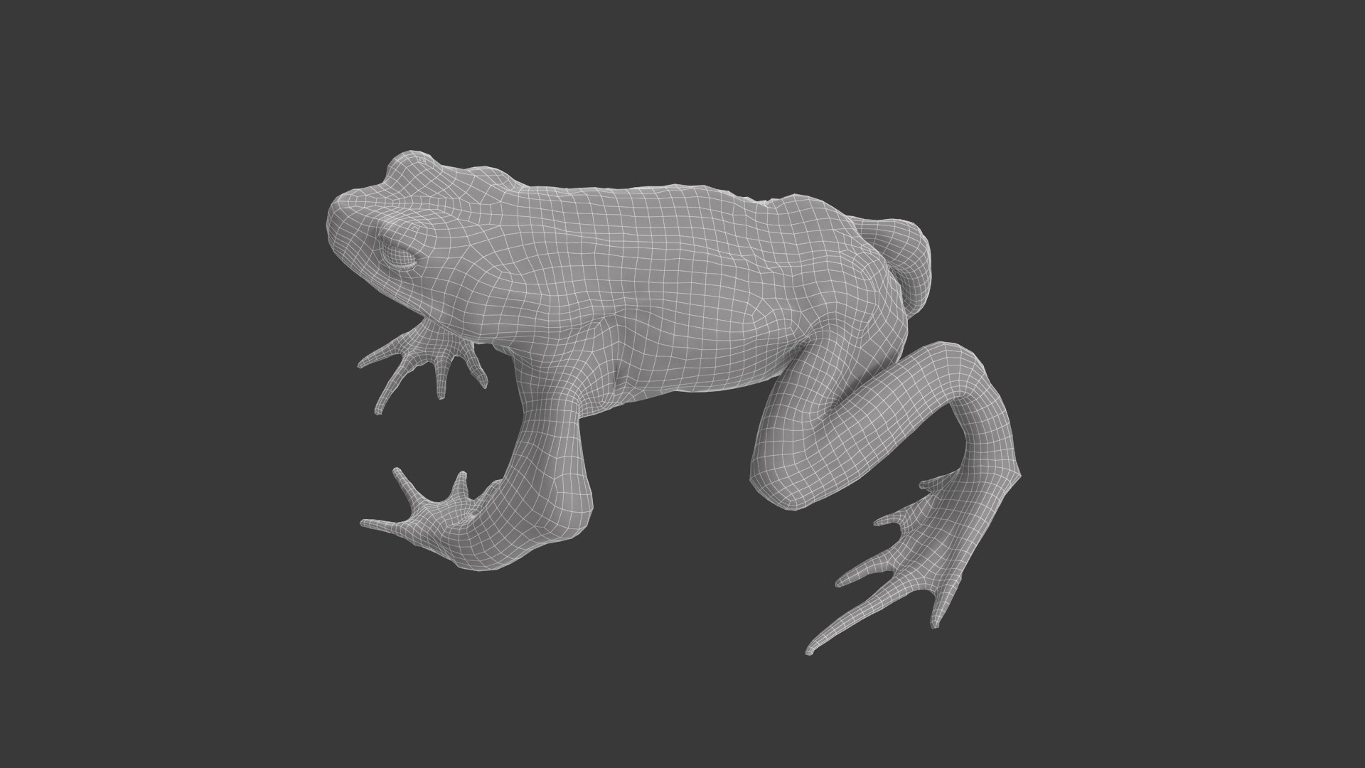 3D Swimming Toad Rigged model - TurboSquid 1975816