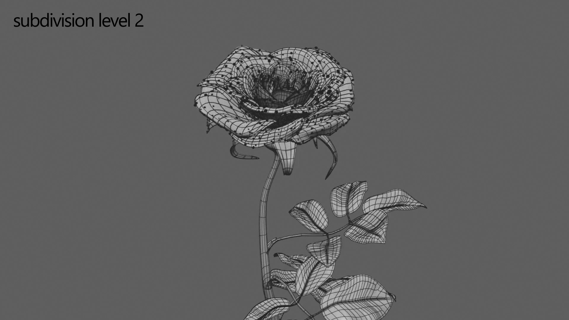 Realistic Rose 3D Model - TurboSquid 1295533