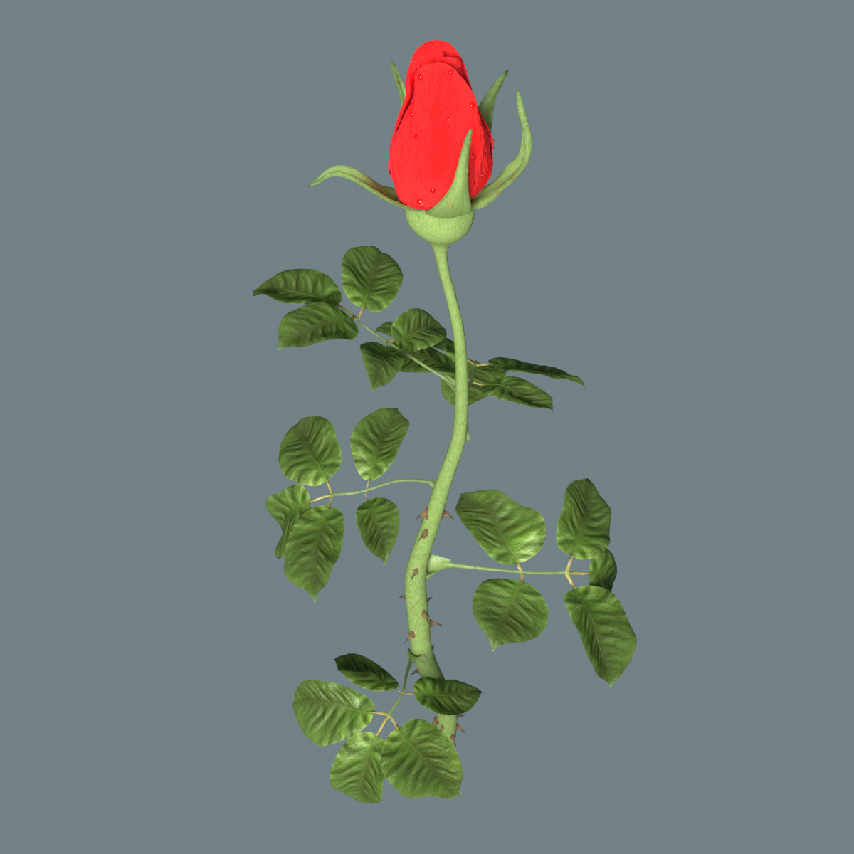 Realistic rose 3D model - TurboSquid 1295533
