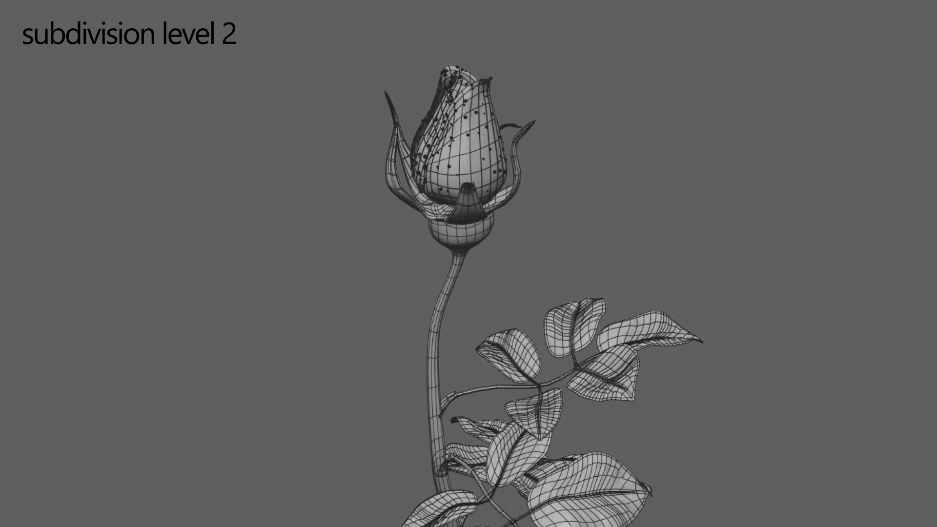 Realistic Rose 3D Model - TurboSquid 1295533