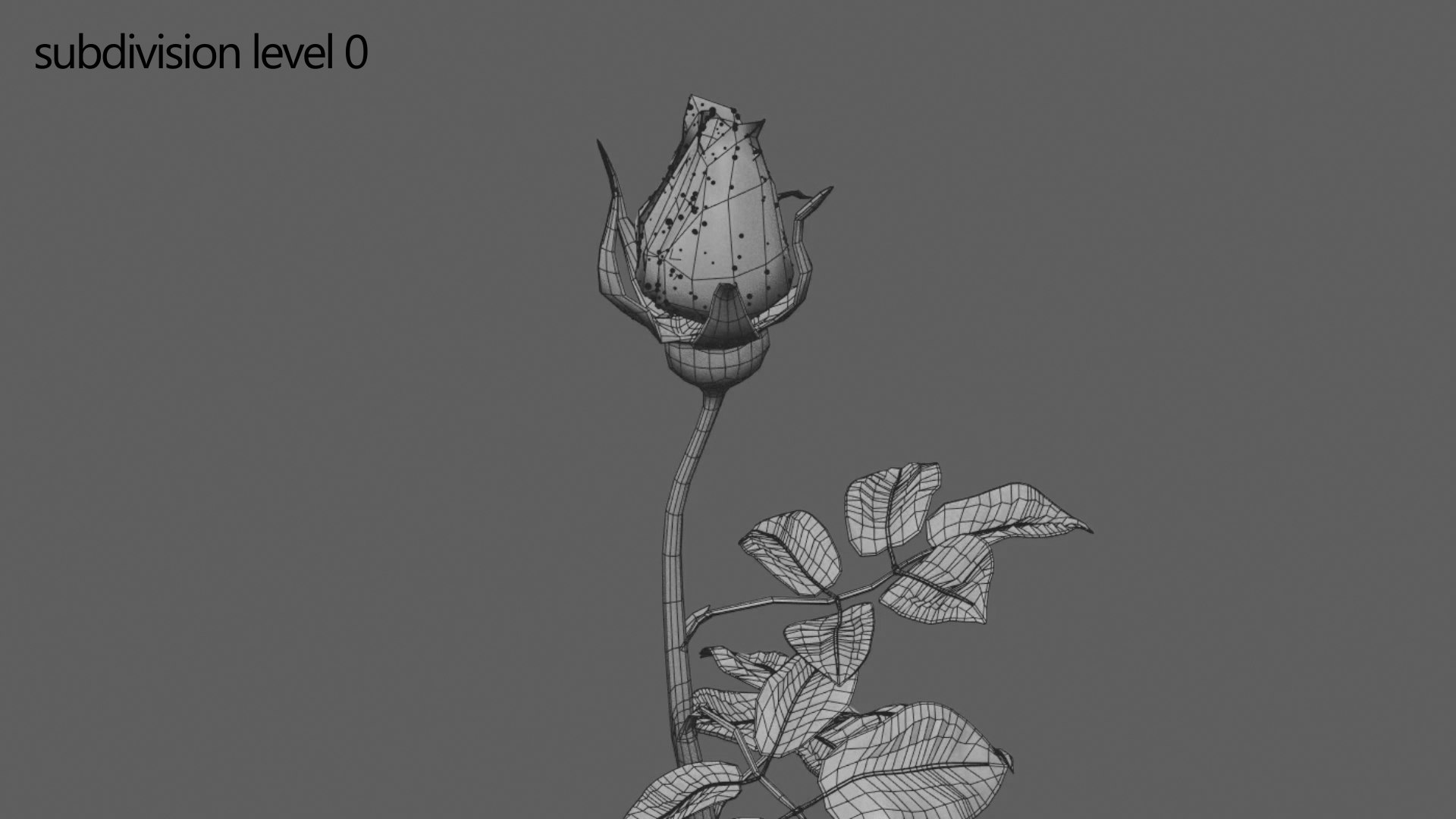 Realistic Rose 3D Model - TurboSquid 1295533