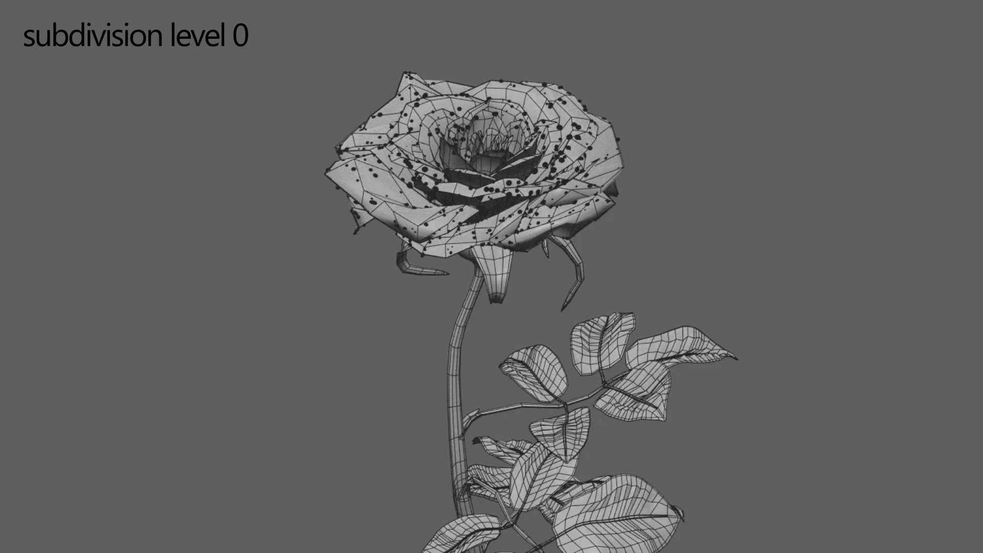 Realistic Rose 3D Model - TurboSquid 1295533