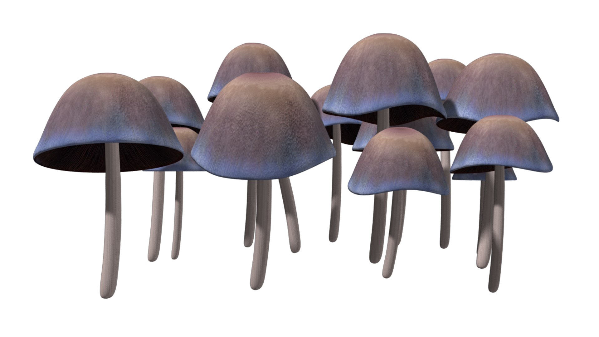 Mushroom Fungus Ground 3d Obj