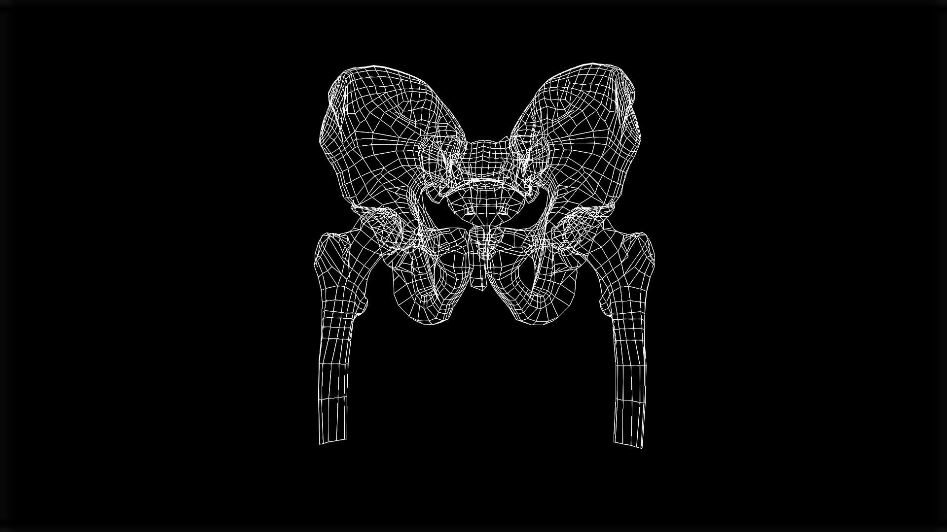 Female Reproductive And Urinary System Model - TurboSquid 2080328