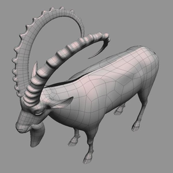 nubian ibex 3d model