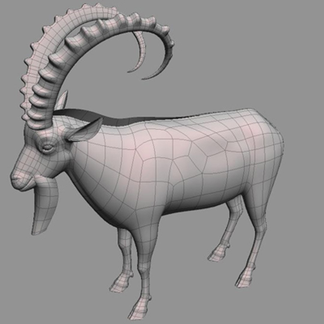nubian ibex 3d model