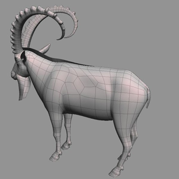 nubian ibex 3d model