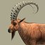 nubian ibex 3d model