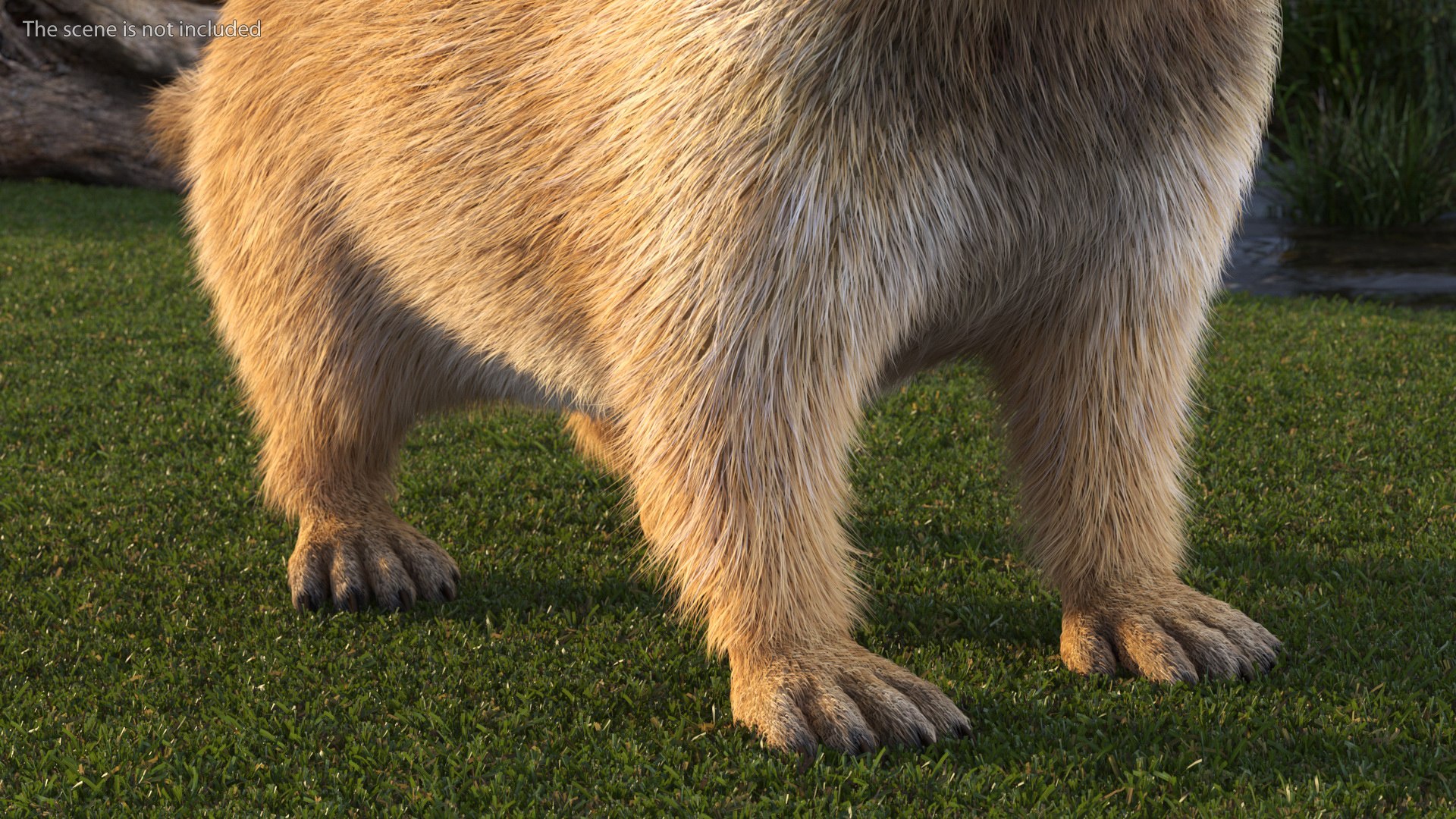 Marmot Rigged Fur 3D model - TurboSquid 1969595