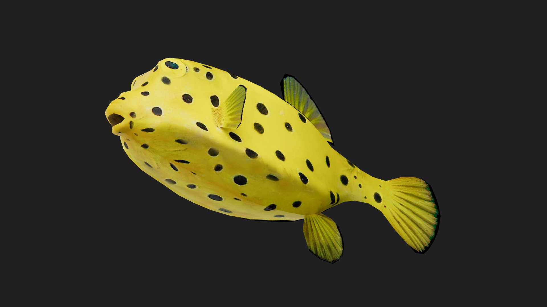3D Boxfish - TurboSquid 2122917