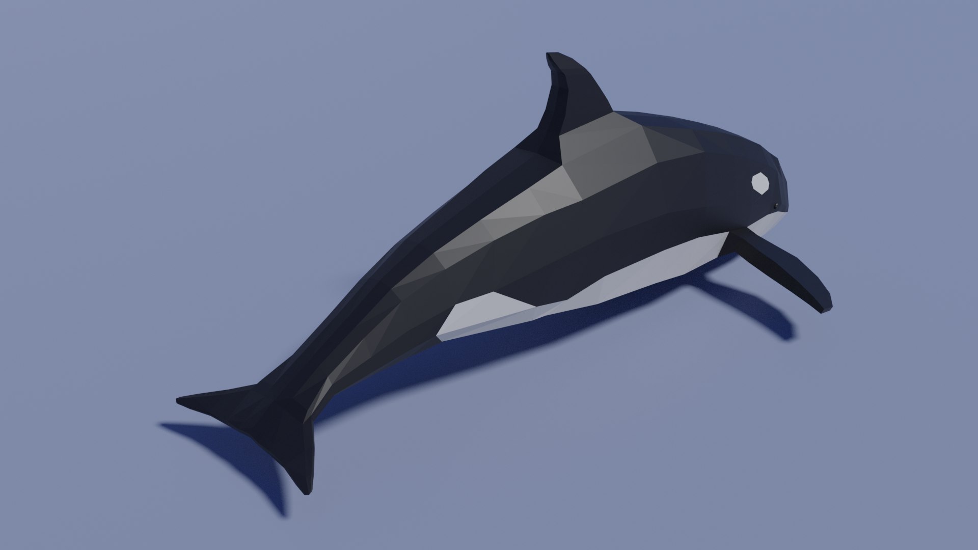 3D Model Killer Whale Orca - TurboSquid 1660455
