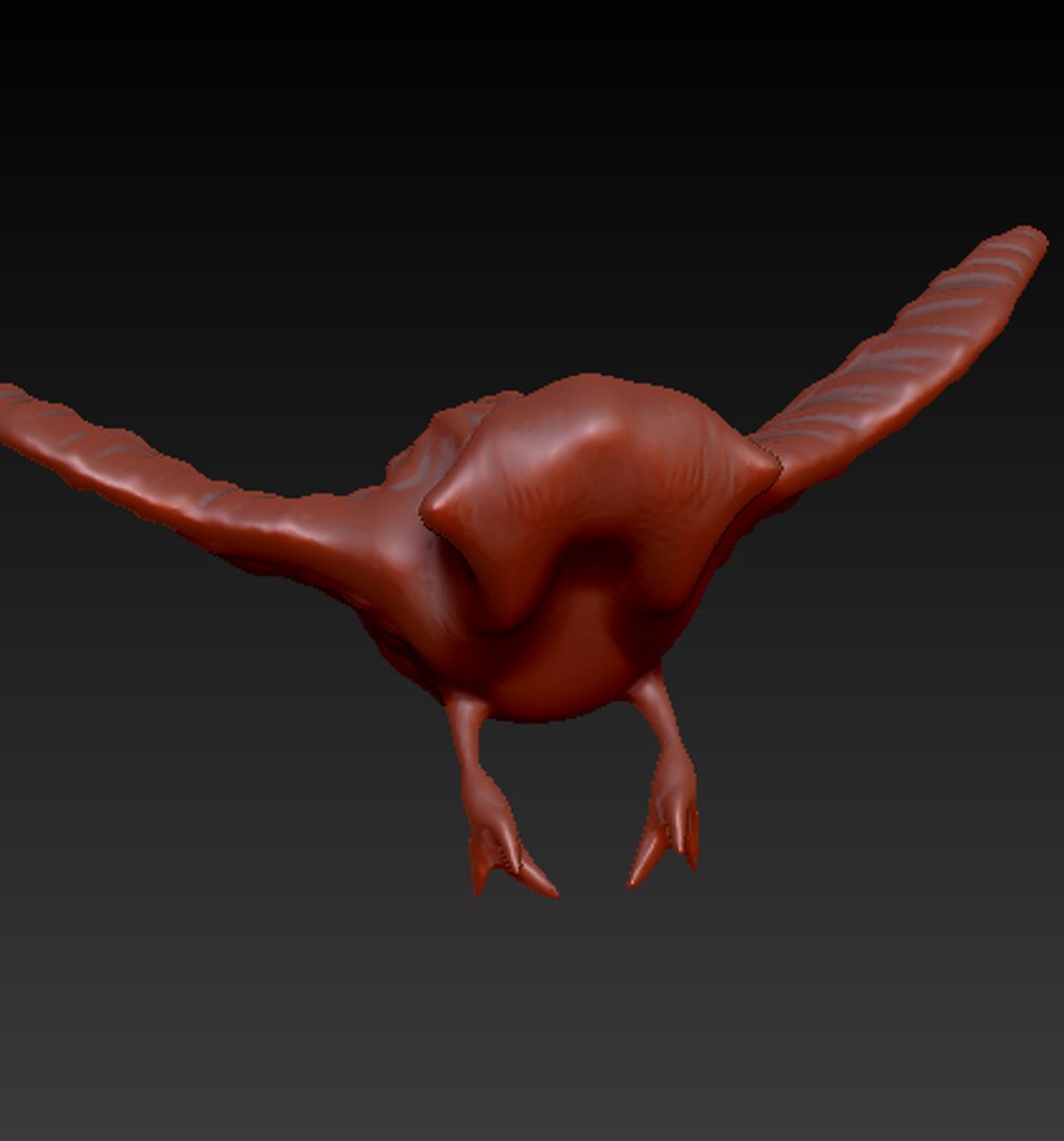 3d Bird
