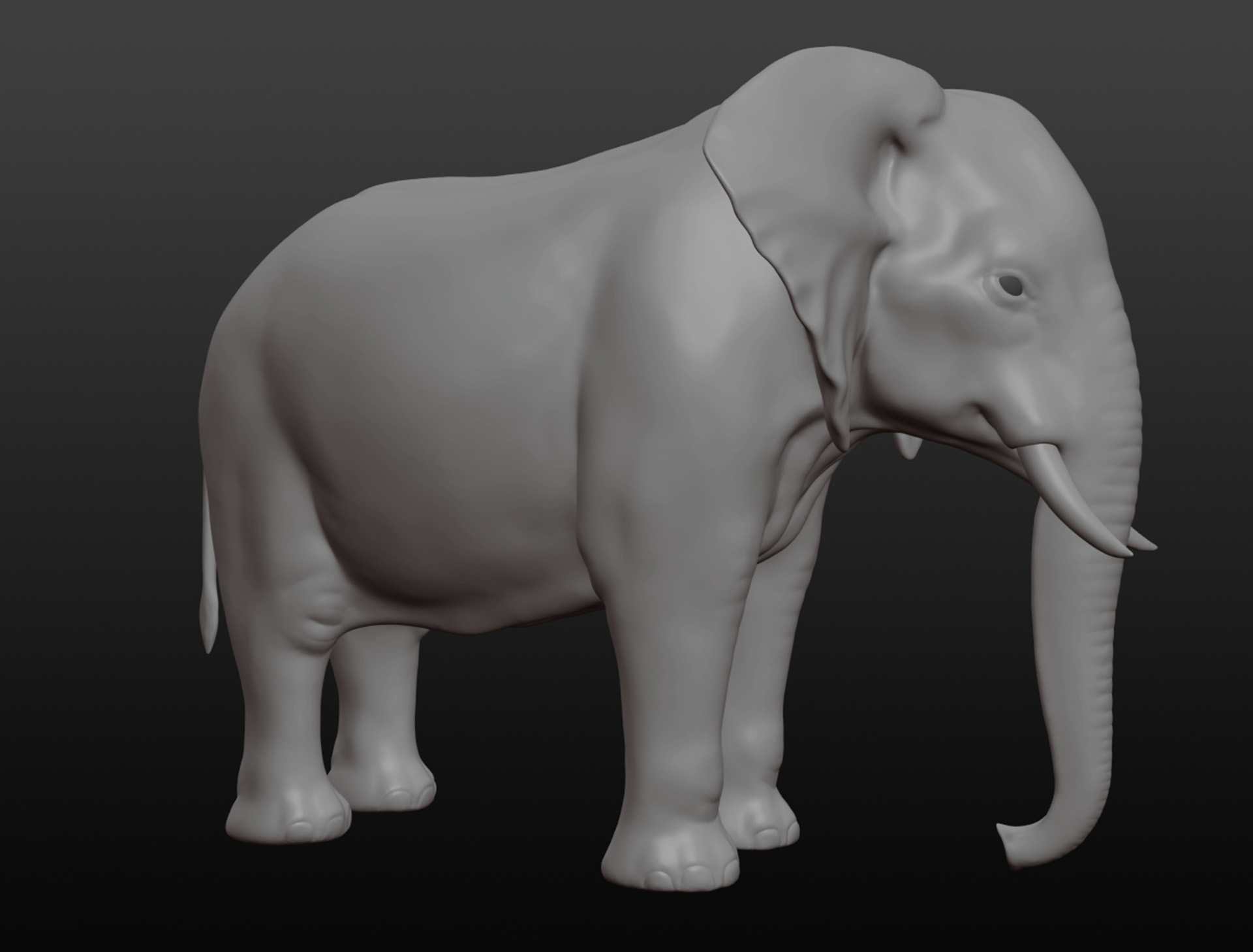 African elephant 3D - TurboSquid 1740945