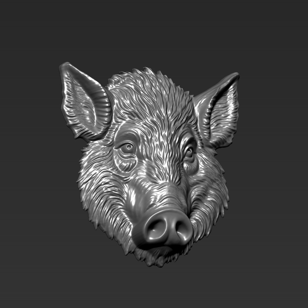 Wild Boar Head 3D Model - TurboSquid 2435896