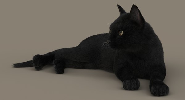 Cat rigged fur 2 3D - TurboSquid 1305309