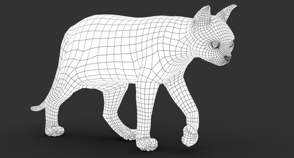 Cat rigged fur 2 3D - TurboSquid 1305309