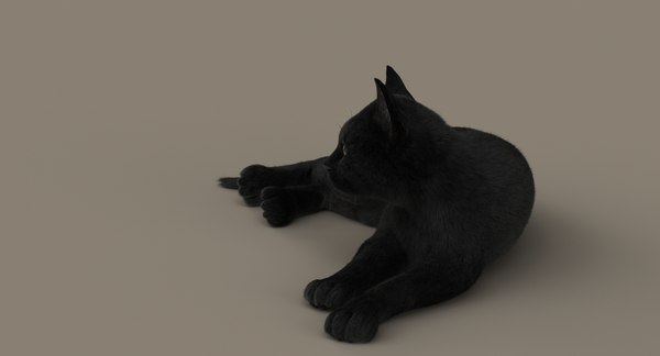 Cat rigged fur 2 3D - TurboSquid 1305309