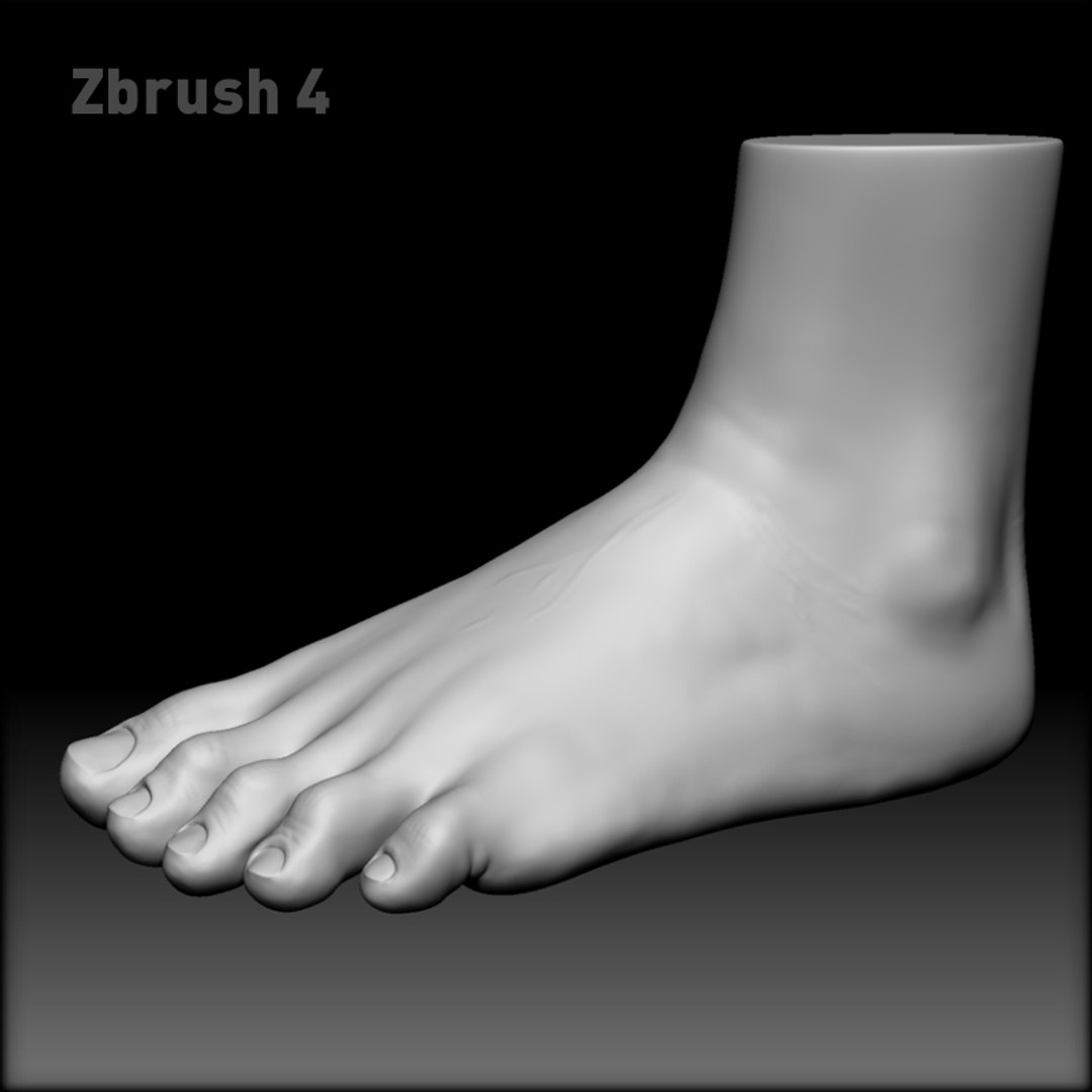 Human Foot 3d Model