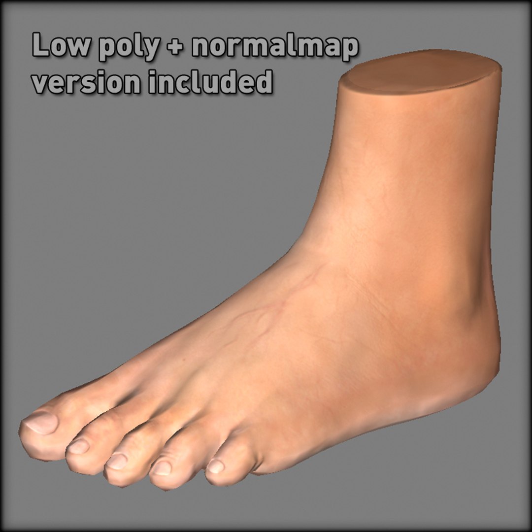 Human Foot 3d Model