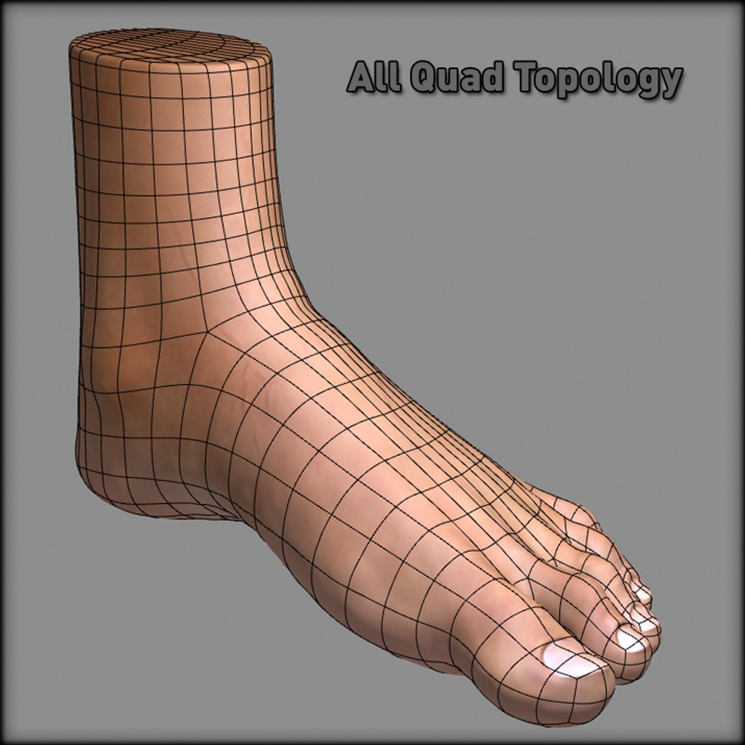 Human Foot 3d Model