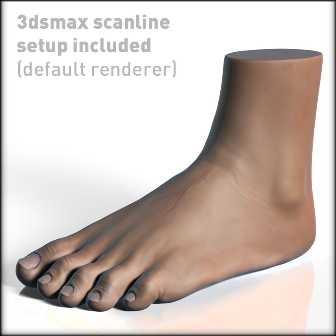 Human Foot 3d Model