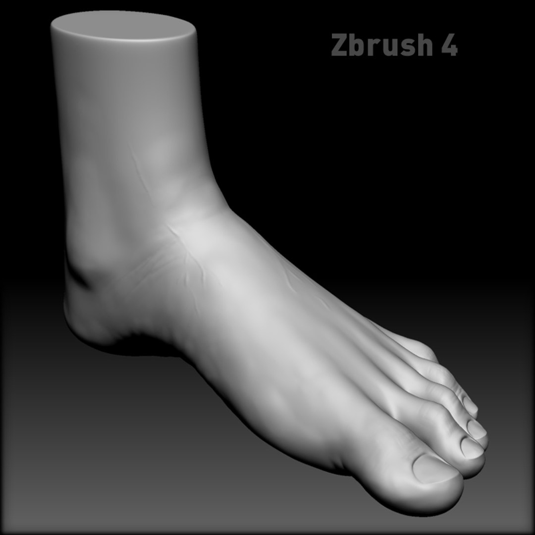 Human Foot 3d Model