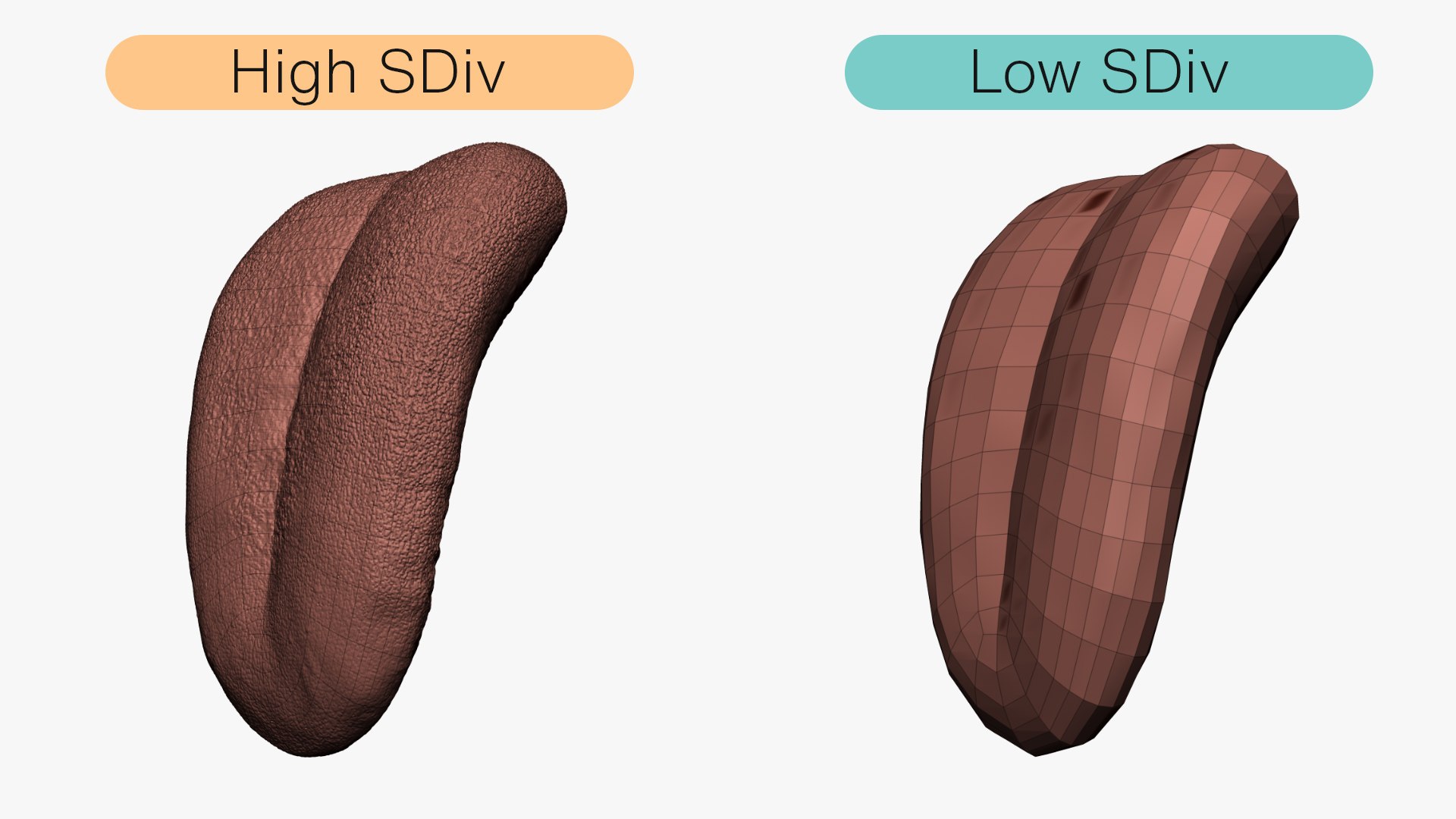 3D Realistic Teeth Base Mesh Zbrush - TurboSquid 2070269