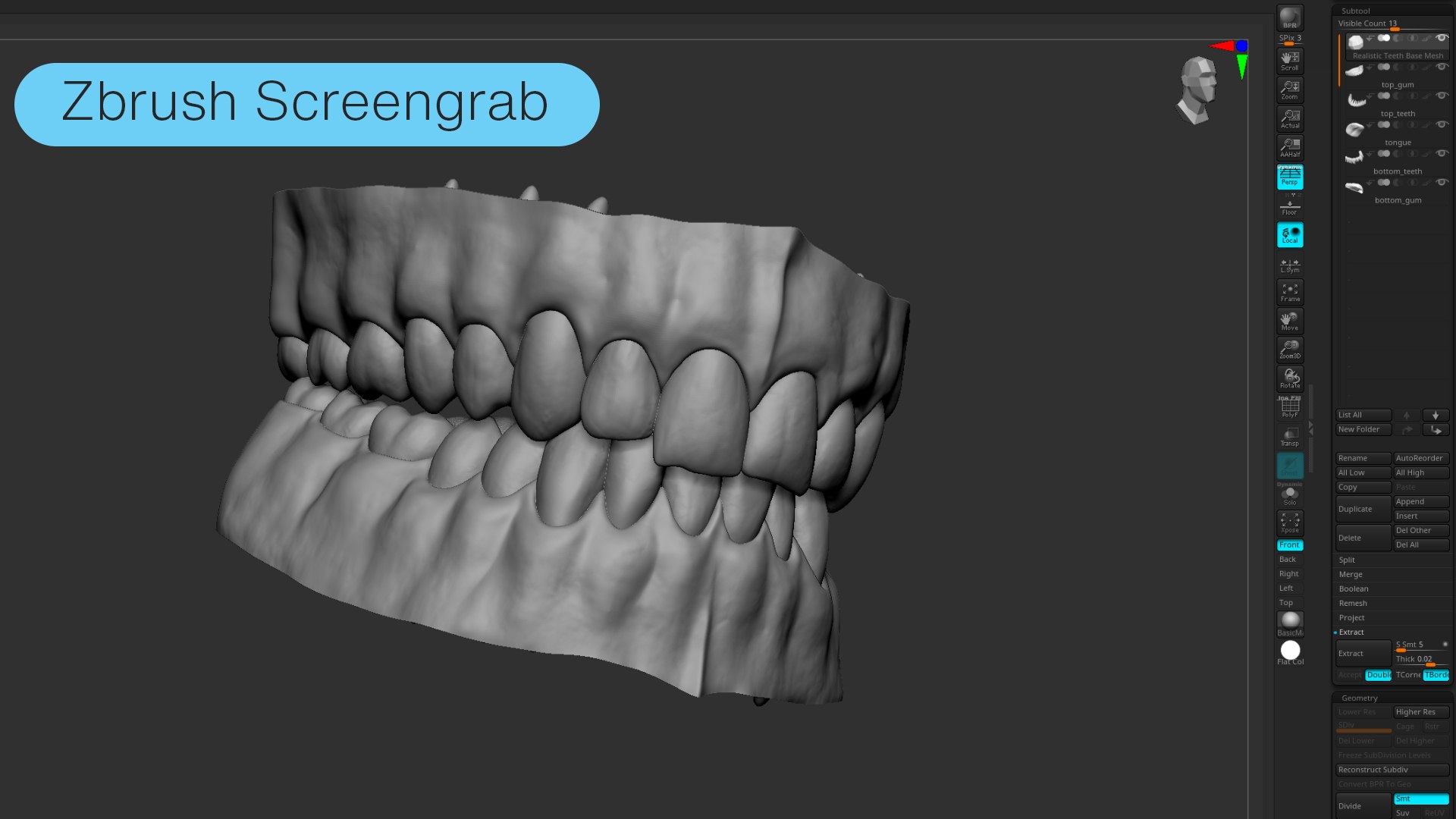 3D Realistic Teeth Base Mesh Zbrush - TurboSquid 2070269