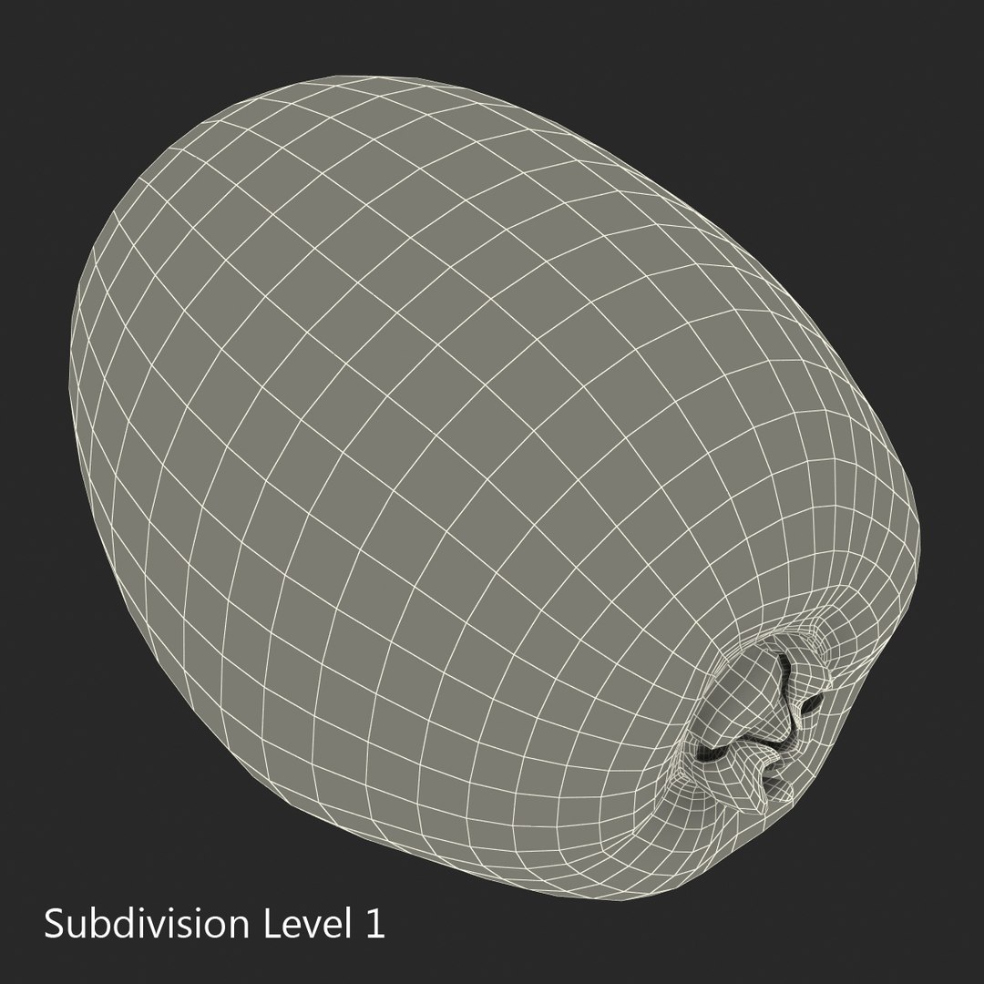 3d model kiwi modeled