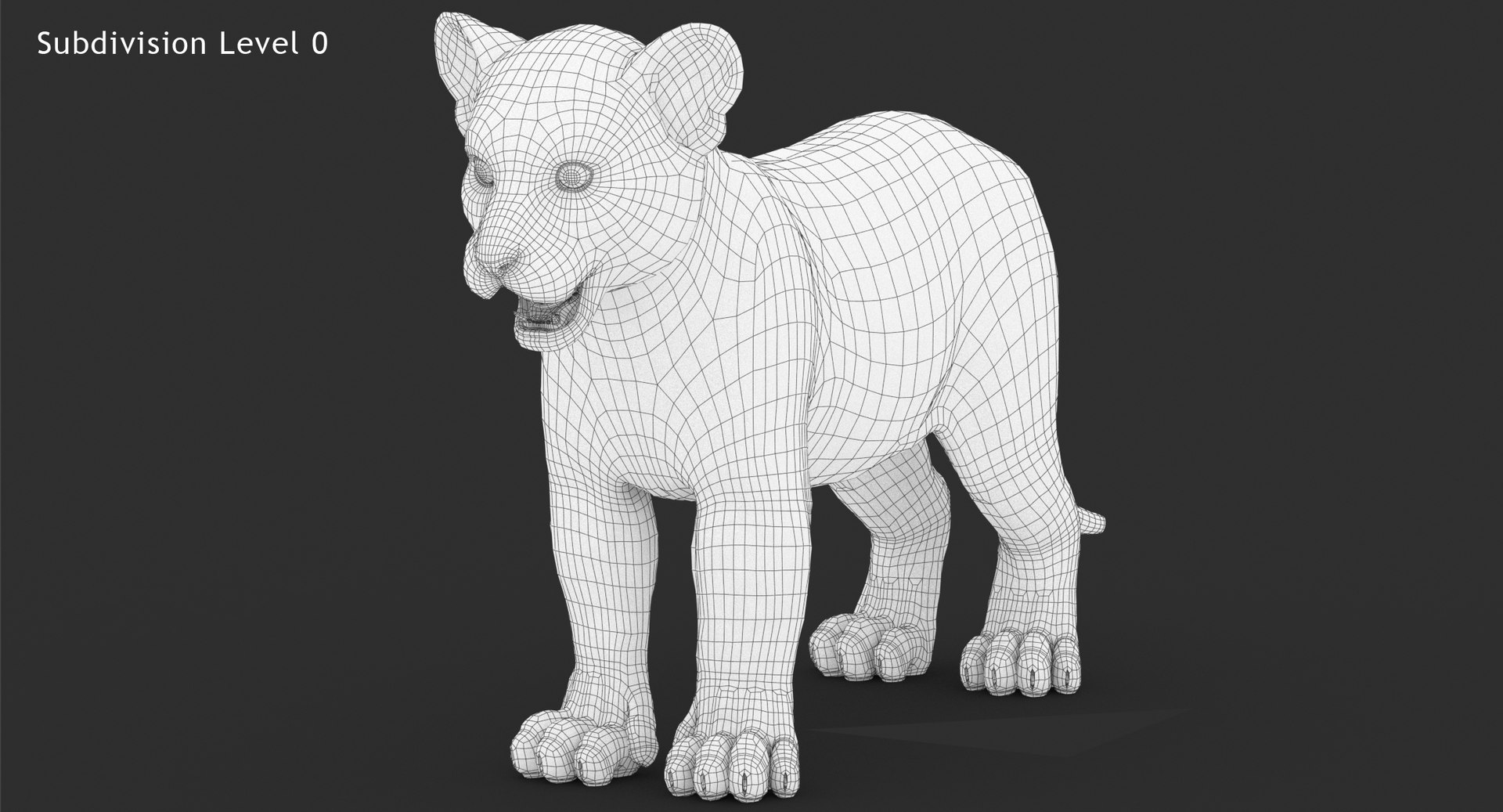 Lion Cub Rigged Modeled Model - TurboSquid 1461268