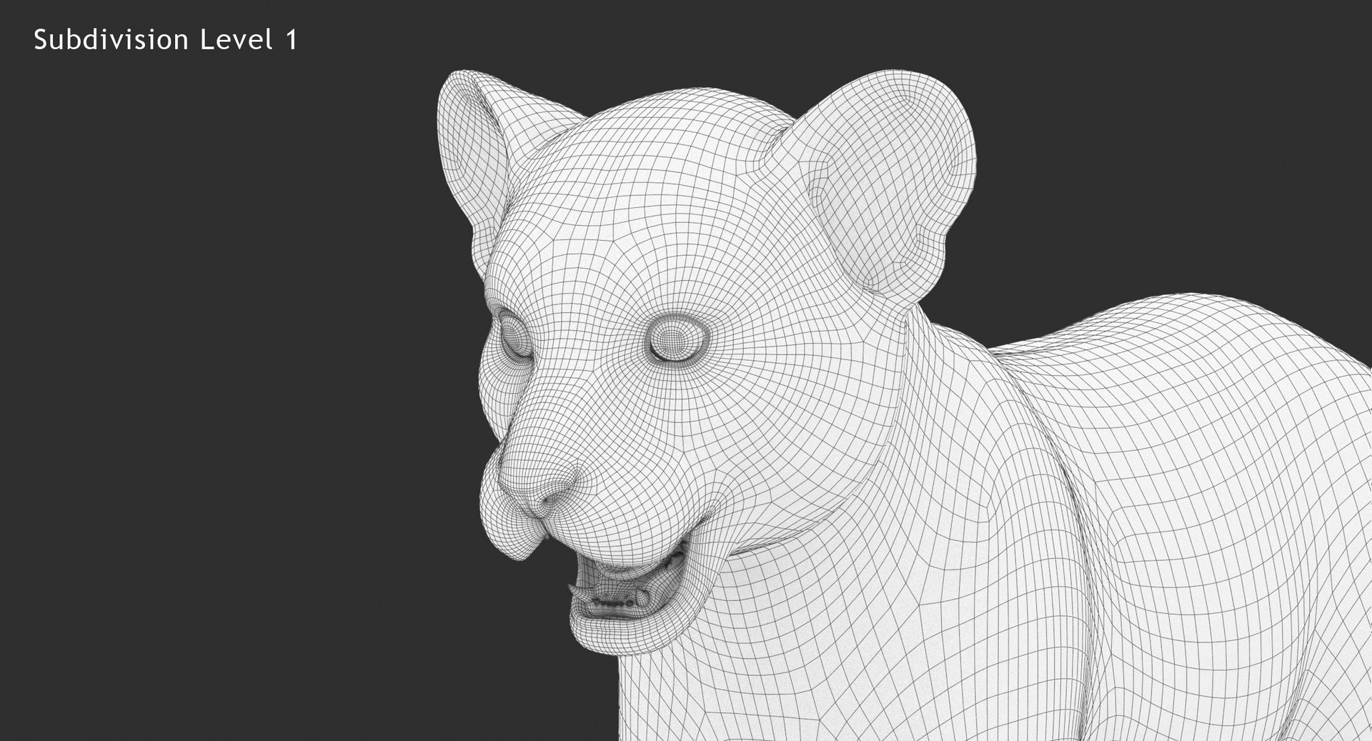 Lion Cub Rigged Modeled Model - TurboSquid 1461268