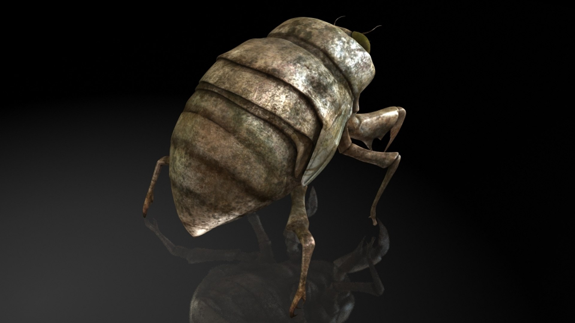 3D Insect - TurboSquid 1214244