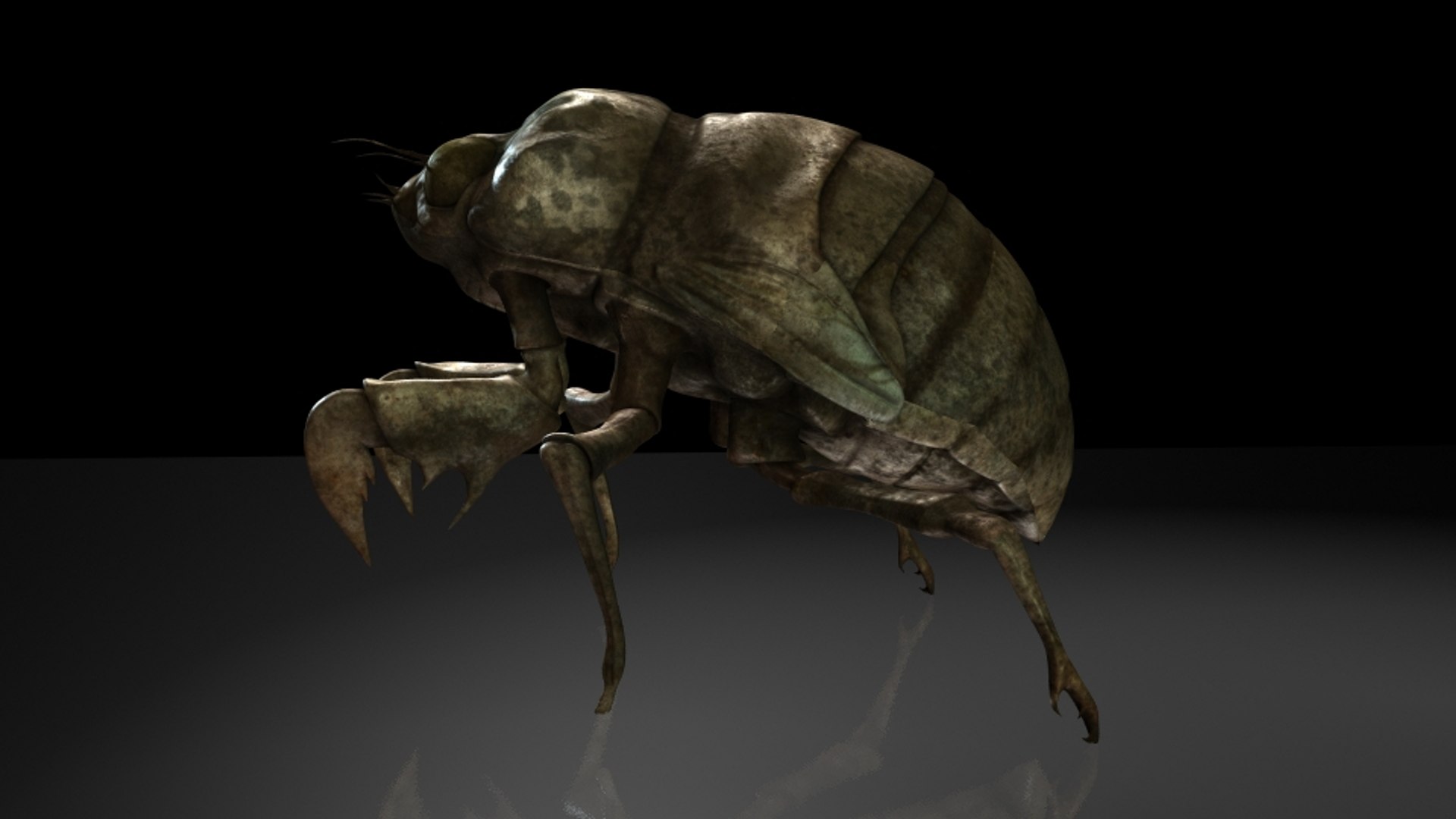 3D Insect - TurboSquid 1214244