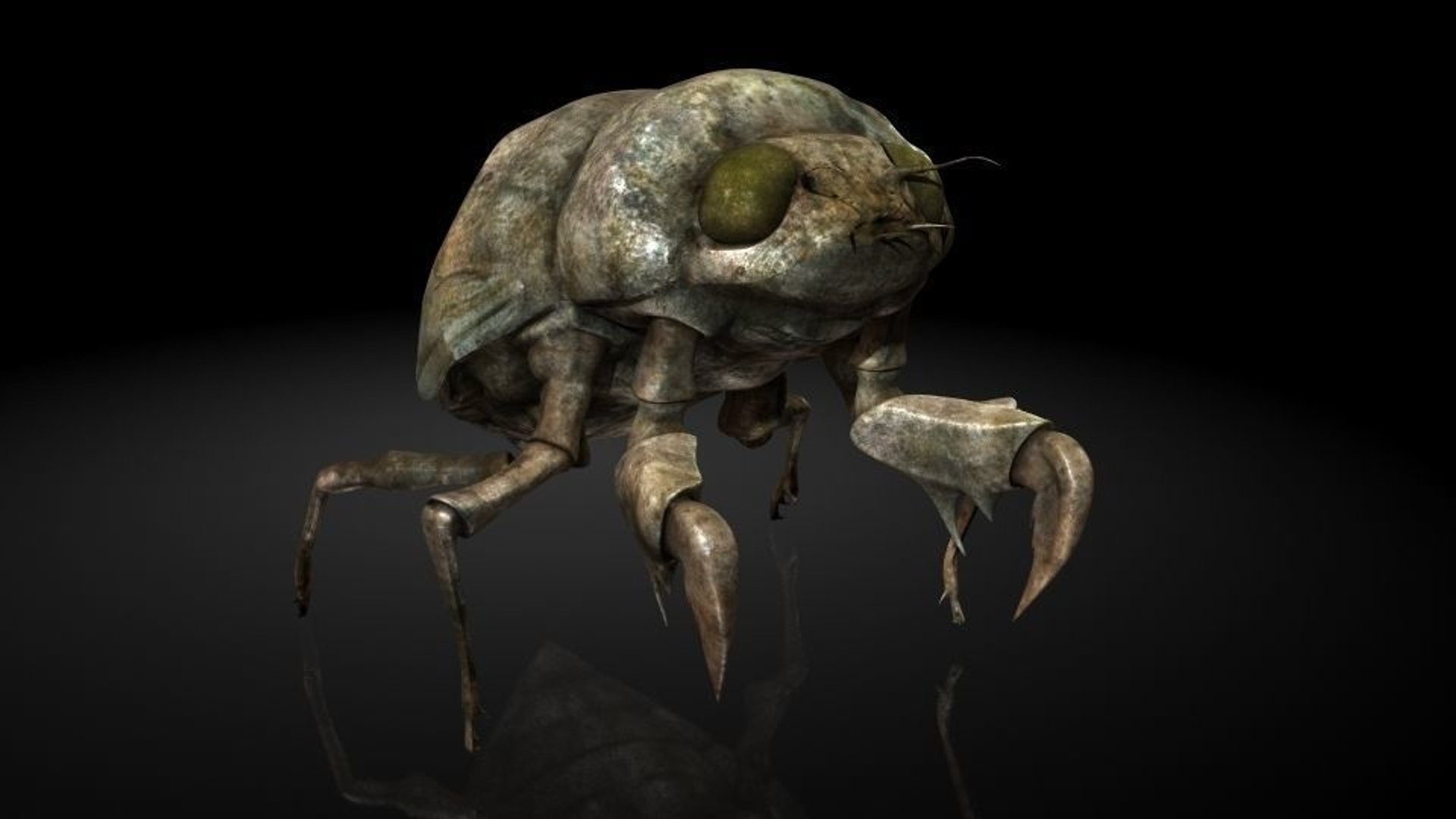 3D Insect - TurboSquid 1214244