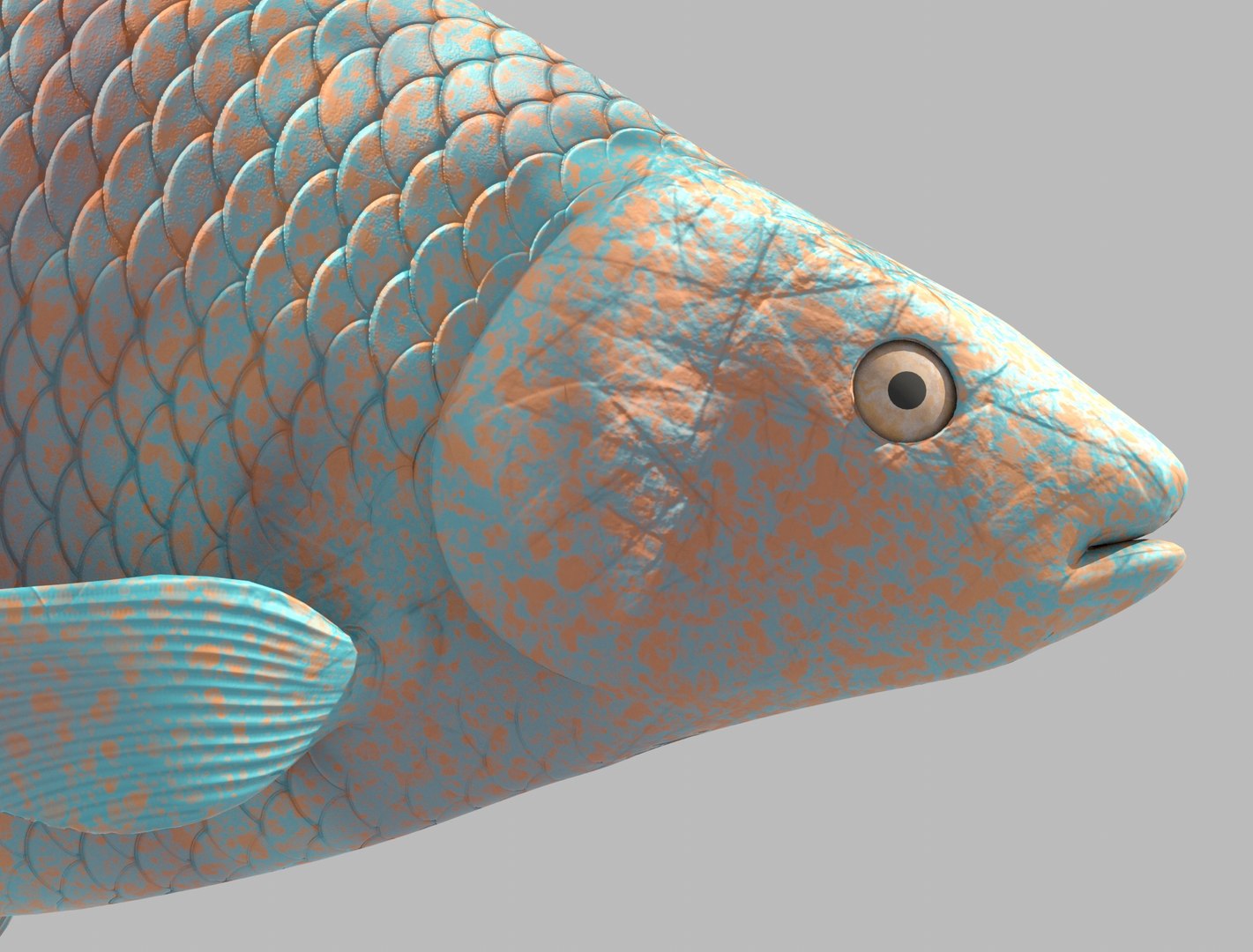 3D fish rigged - TurboSquid 1441978