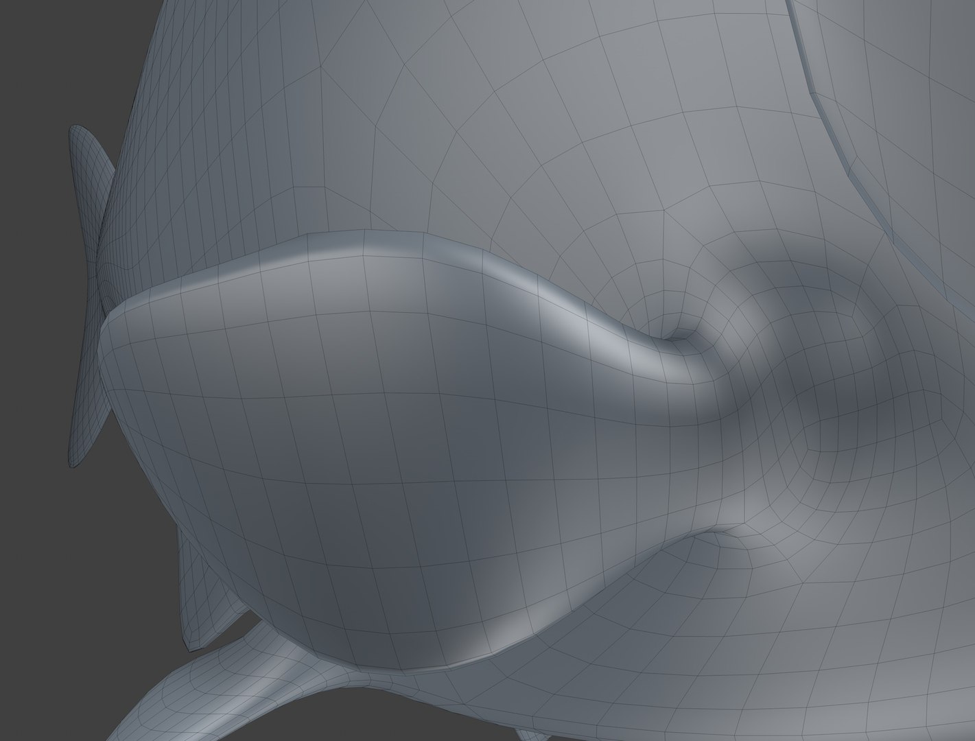 3D fish rigged - TurboSquid 1441978