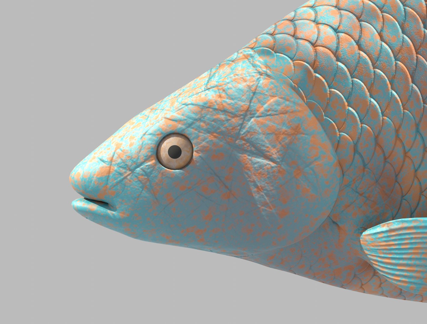 3D fish rigged - TurboSquid 1441978