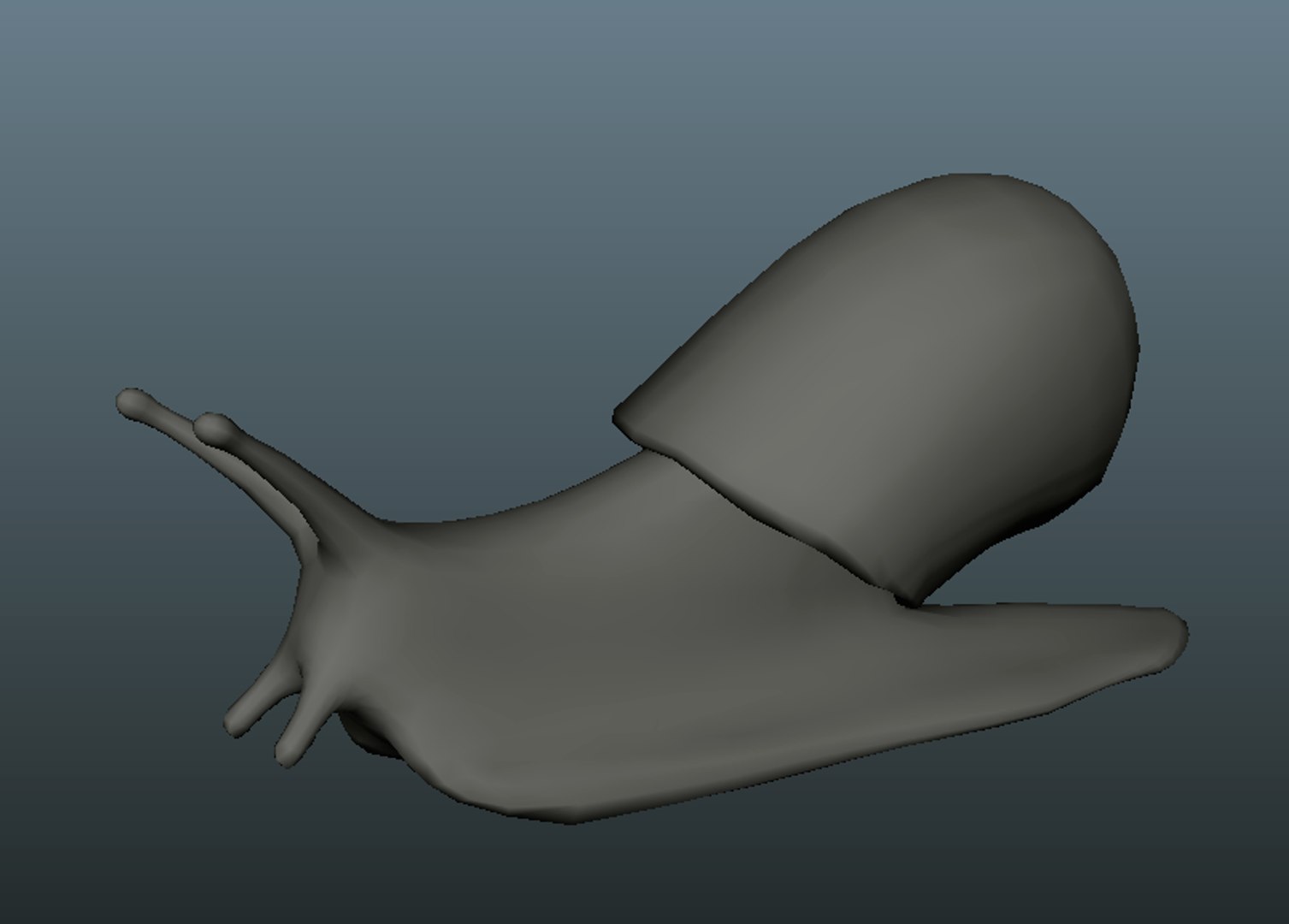 3d Snail Model