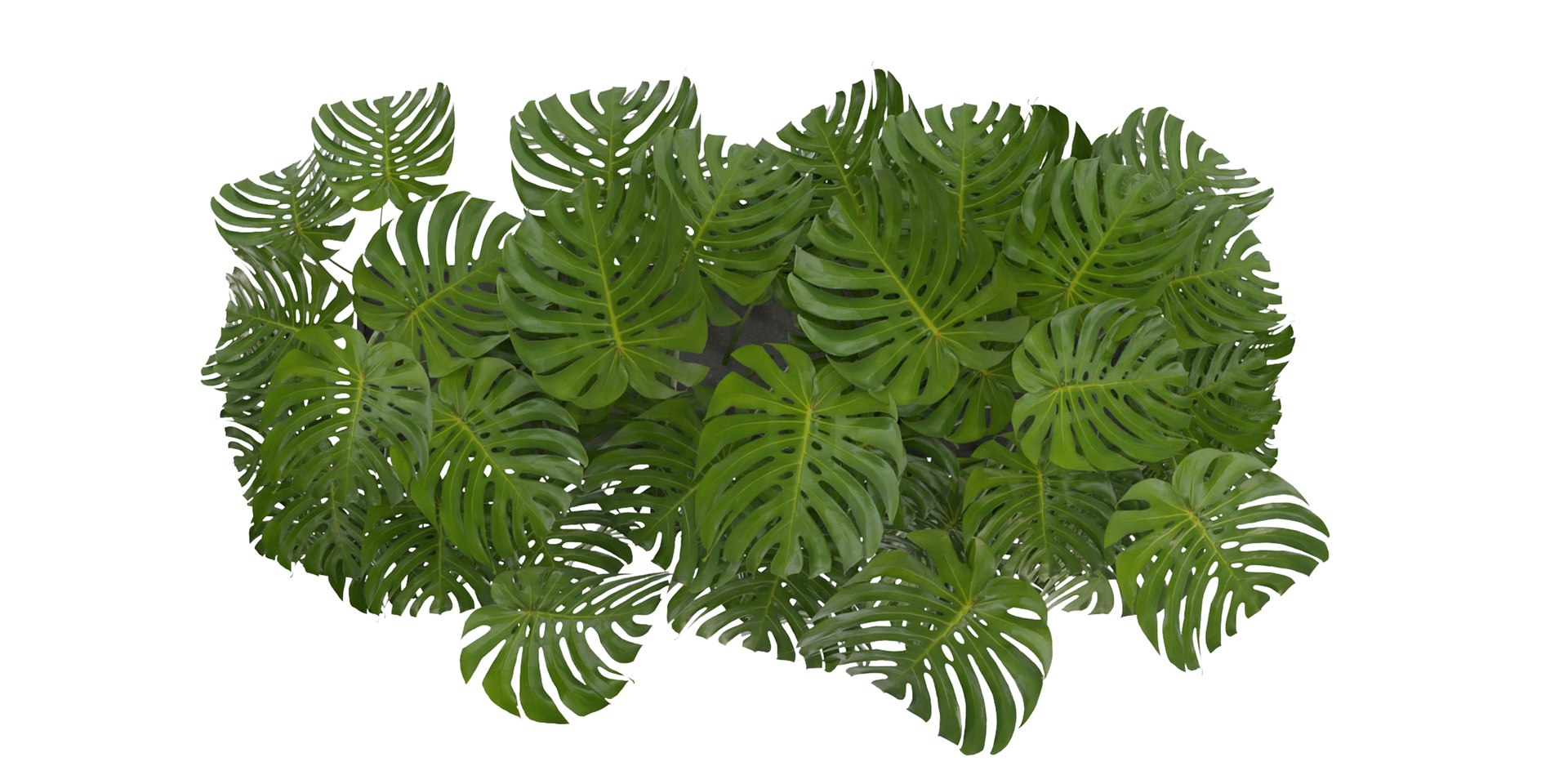3D Collection Plant Vol 323 - Blender - TurboSquid 2093056