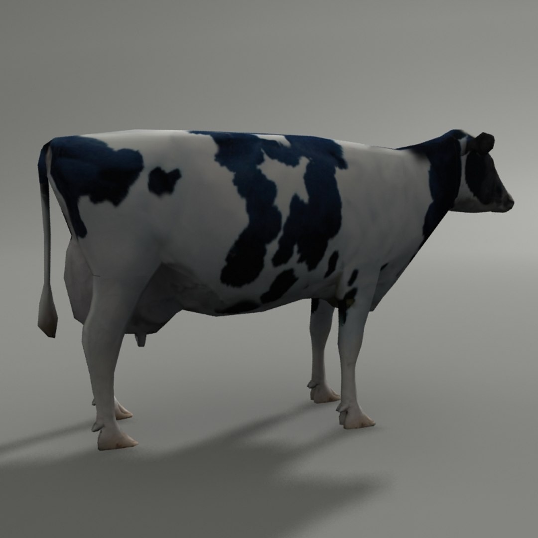 3d Cow Model